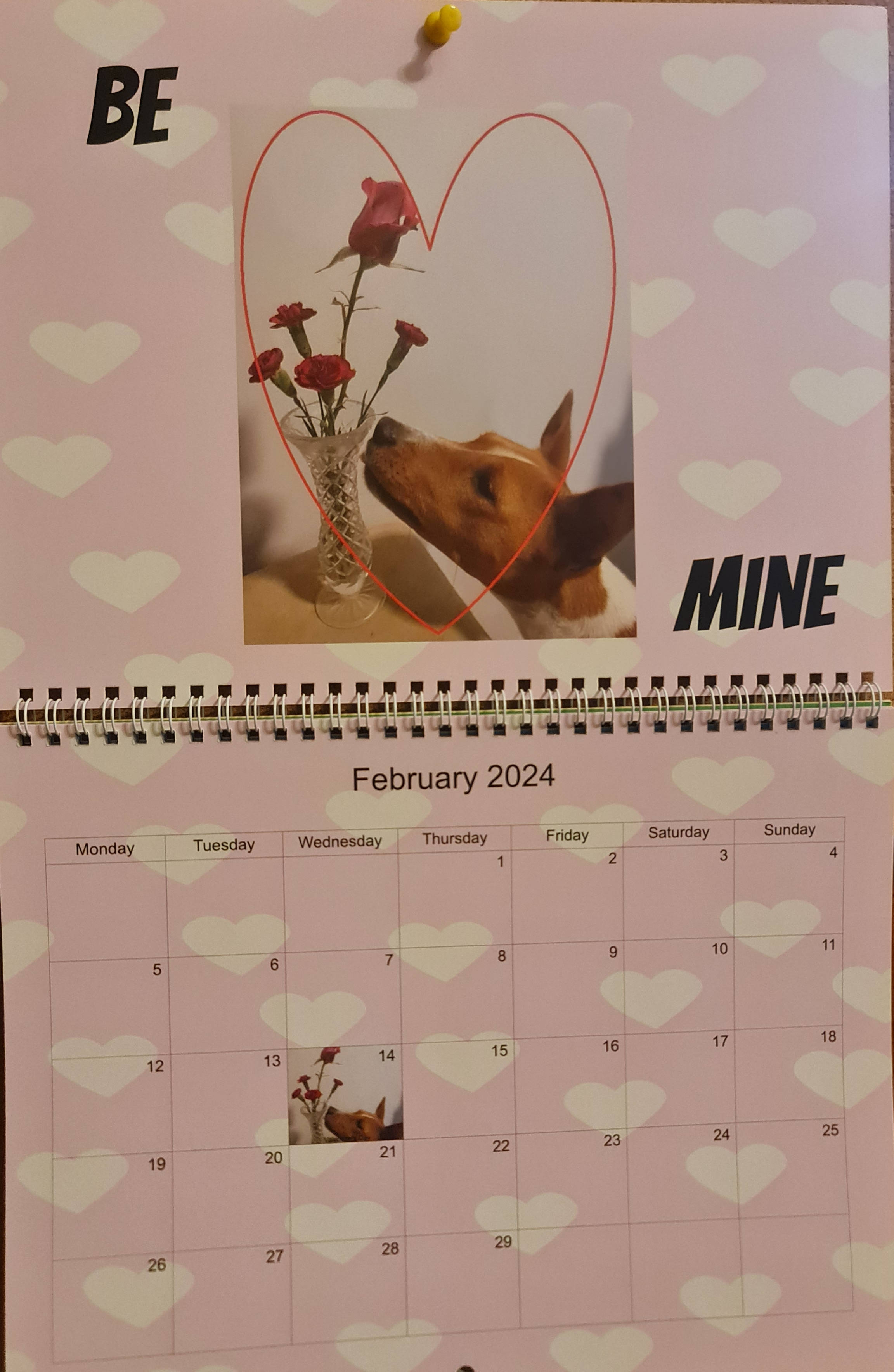 Basenji Breed Network 2024 Calendar | Basenji Breed Network